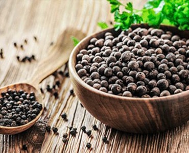 Biowin Agro Research